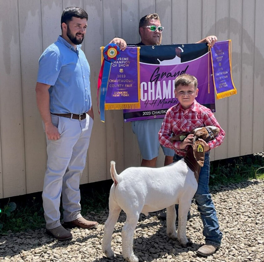 Youth ‘go-at’ the gold in another 4-H contest | News, Sports, Jobs ...